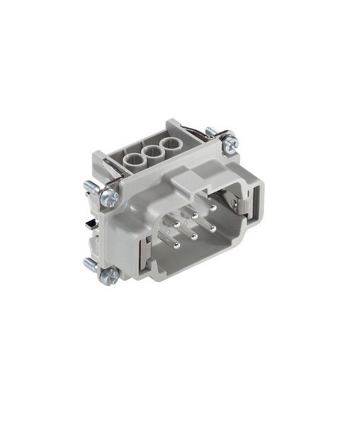 Wieland 6 Pole Male Connector EPIC Screw Termination | SHOWTECHNIX